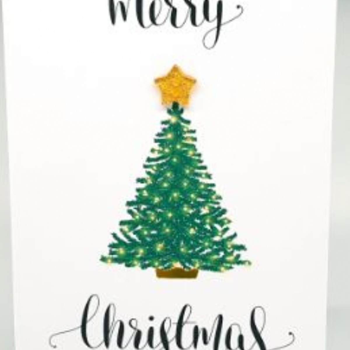 Beaver Green Primary School - Christmas Card Competition
