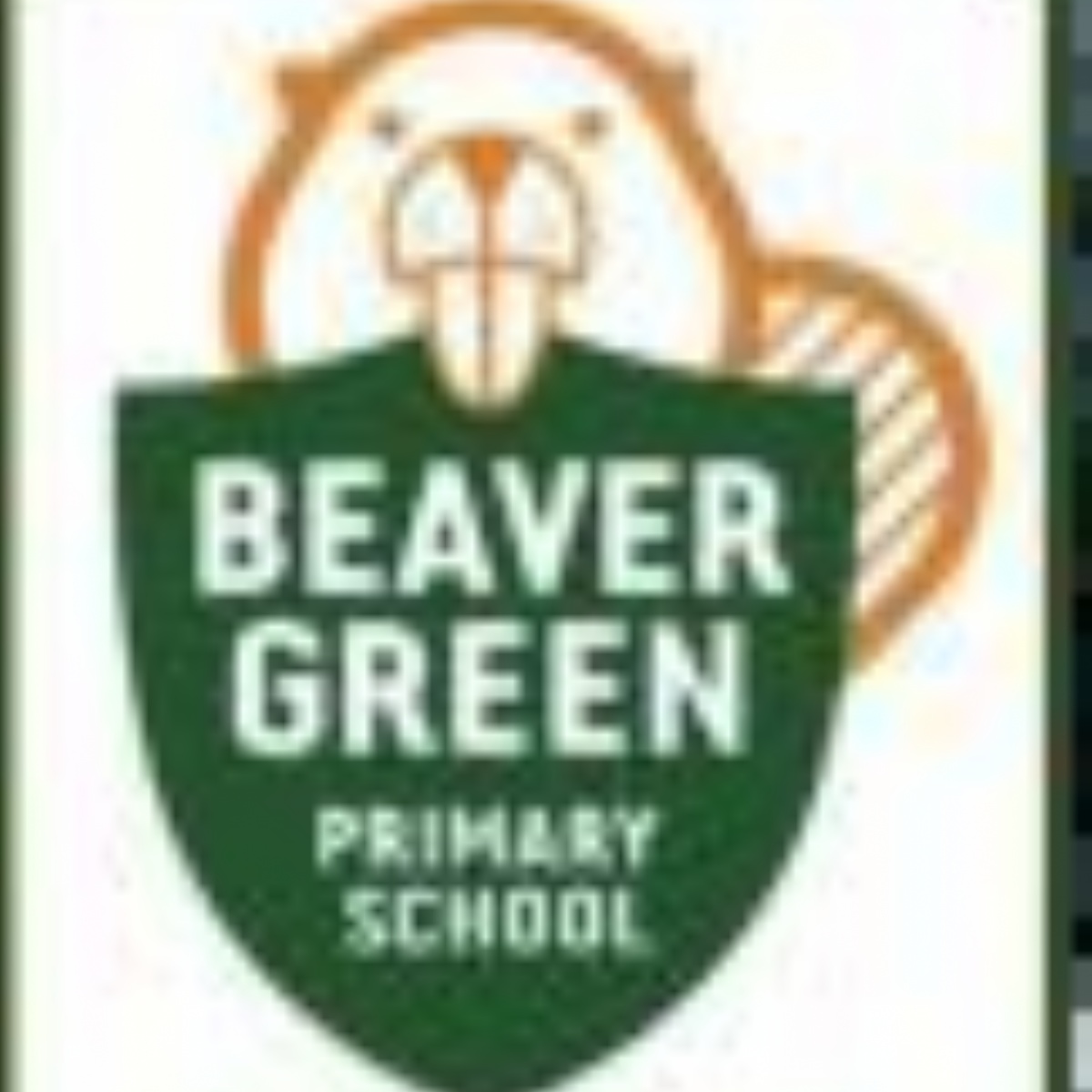 Beaver Green Primary School - Newsletter Term 2